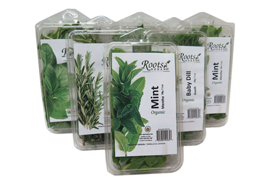 Evergreen Herbs® – Canada's Largest Grower of Fresh Herbs & Specialty ...