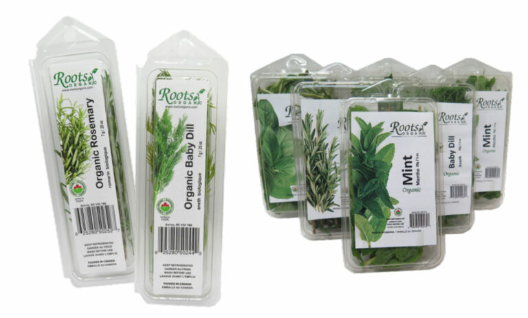 Retail – Evergreen Herbs®